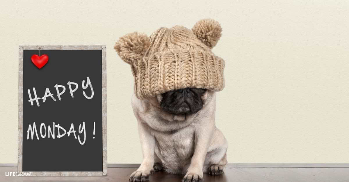 55 Best Monday Motivation Quotes to Start Your Productive Week